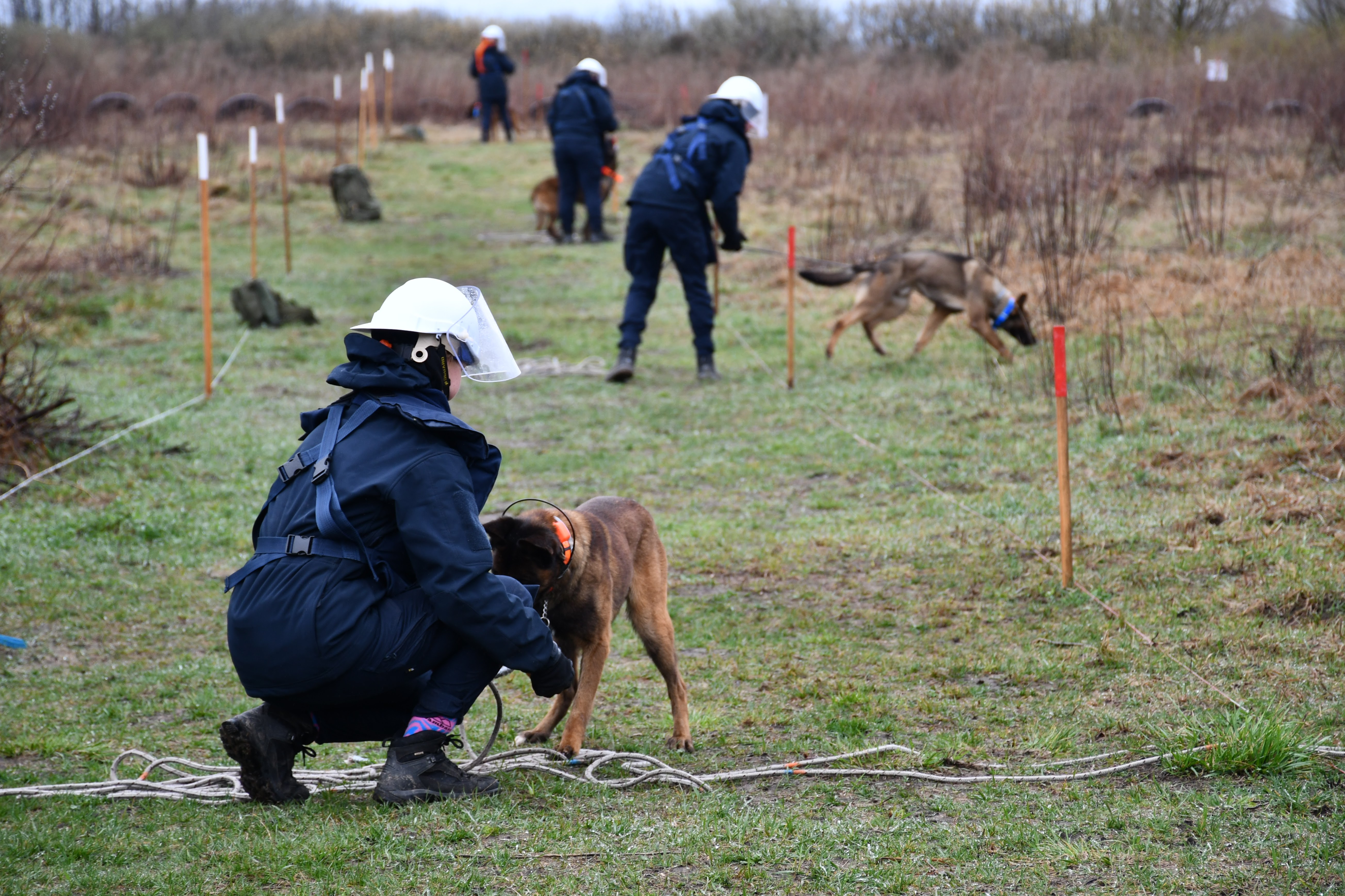 Ukrainian women and mine detection dogs begin life-saving work in ...